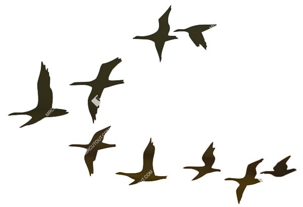 Cut out Bird 0016 | MrCutout.com